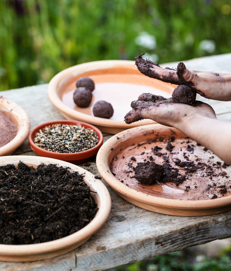 Seed Balls (Unpacked) - Seedball Factory | Nachhaltige Werbemittel